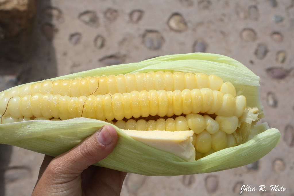 Peruvian Corn | Machu Picchu Hiking Tours Peruvian Corn | Machu Picchu Hiking Tours